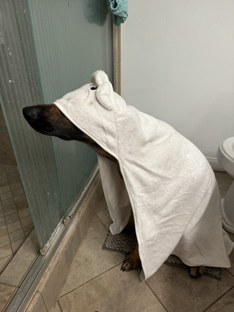 CAMP PENDLETON ANIMAL SHELTER - Updated September 2025 - 11 Photos & 19 ...