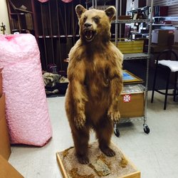 PAK MAIL - 15 Photos & 20 Reviews - Shipping Centers - 3218 E Bell Rd ...