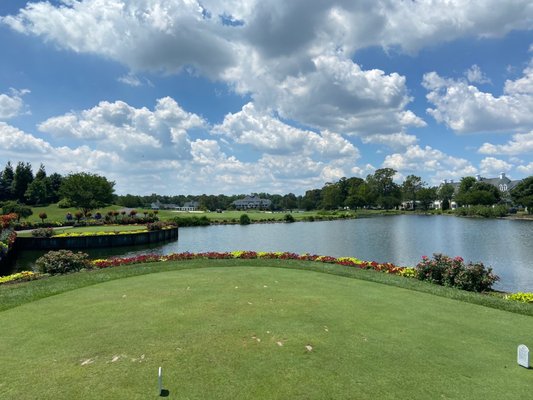 BAYWOOD GREENS - Updated June 2025 - 20 Photos & 15 Reviews - 32267 ...