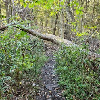 DUFF PARK - Updated December 2025 - 45 Photos & 11 Reviews - 4500 ...