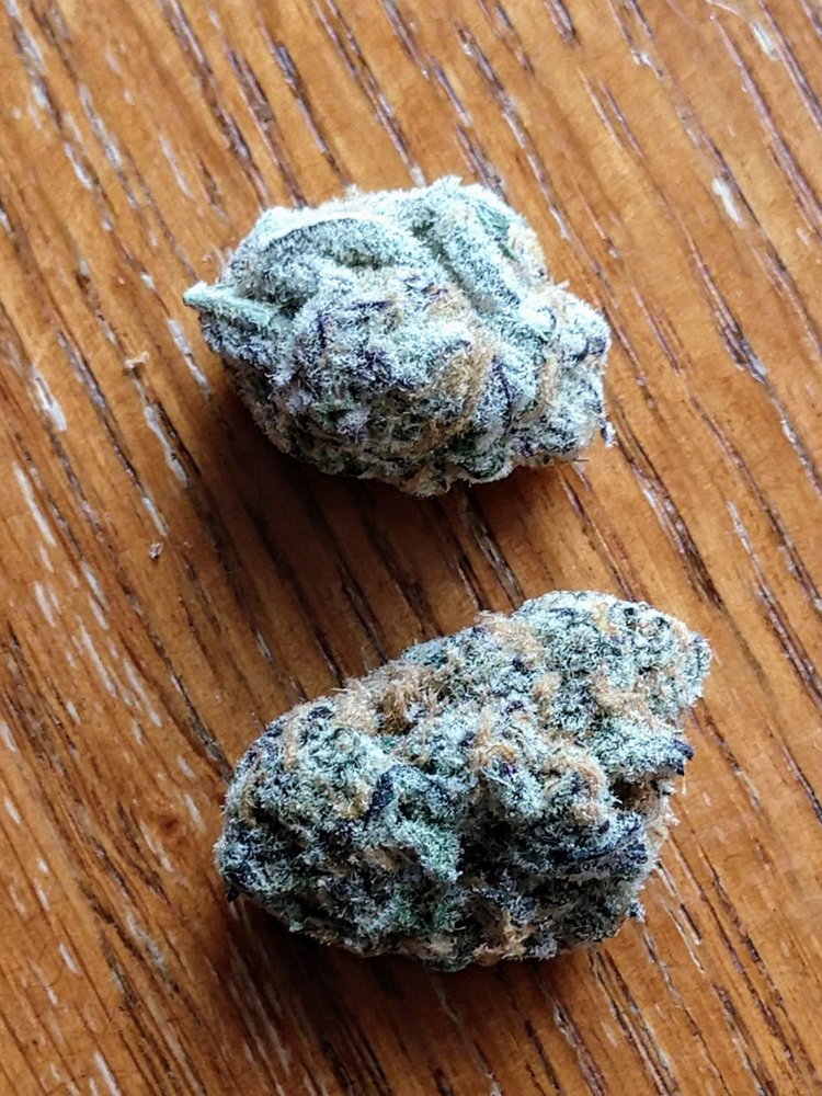 THE REEF - 12 Photos & 15 Reviews - Cannabis Clinics - 6640 E 8 Mile ...