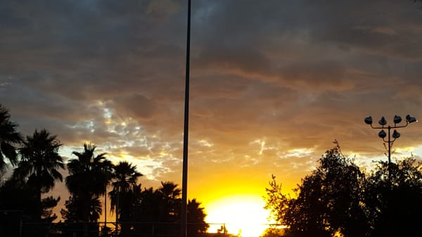 HIMMEL PARK - Updated October 2024 - 47 Photos & 31 Reviews - 1000 N ...