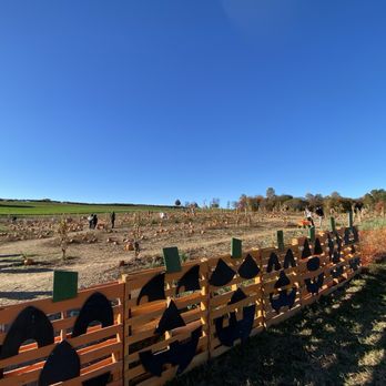 BUTLER’S ORCHARD - Updated November 2024 - 750 Photos & 409 Reviews ...