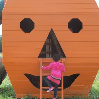 WAYSIDE FARM FUN - Updated January 2026 - 61 Photos & 21 Reviews - 5273 ...