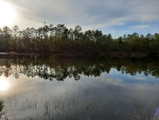 GA COASTAL RV PARK - Updated July 2025 - 33 Photos - 26610 US 82 ...