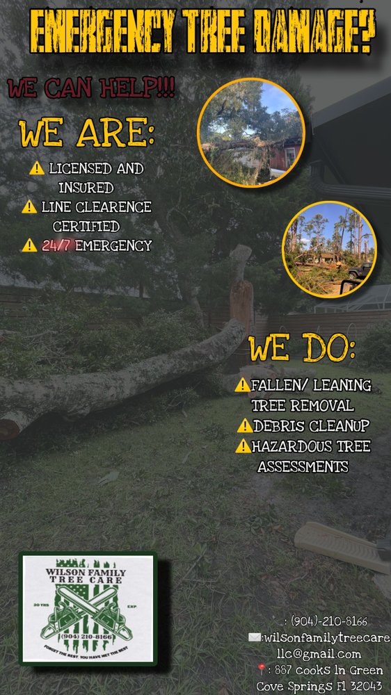 WILSON FAMILY TREE CARE - Updated January 2026 - 51 Photos & 21 Reviews ...