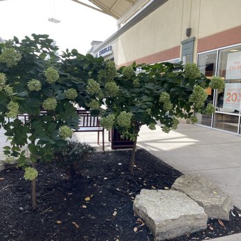 CINCINNATI PREMIUM OUTLETS - Updated December 2025 - 163 Photos & 156 ...