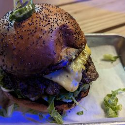 NEVER SAY DIVE - Updated December 2025 - 117 Photos & 46 Reviews - 4497 ...