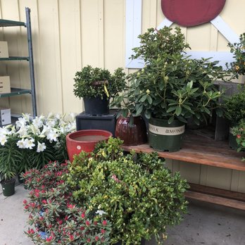 DREYER FARMS - Updated January 2026 - 82 Photos & 71 Reviews - 831 ...