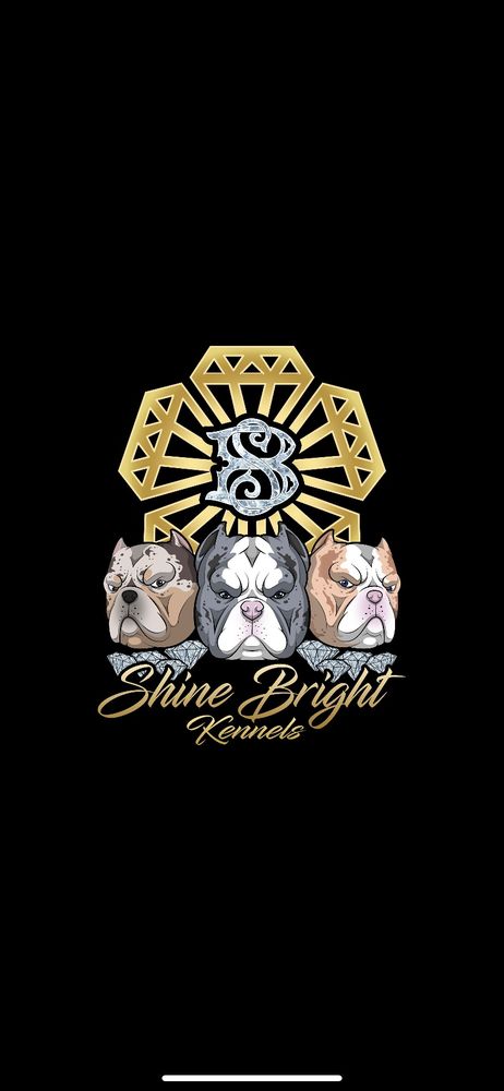 SHINE BRIGHT KENNELS - Updated September 2025 - Tampa, Florida - Pet ...