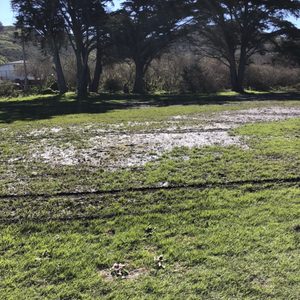 SHARP PARK GOLF COURSE - 121 Photos & 141 Reviews - Golf - 2600 ...