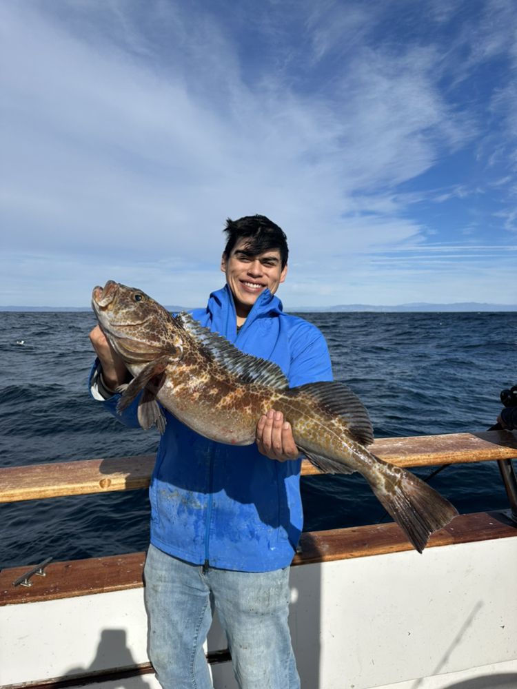 SEABISCUIT SPORTFISHING - Updated July 2025 - 10 Photos - 4151 Victoria ...