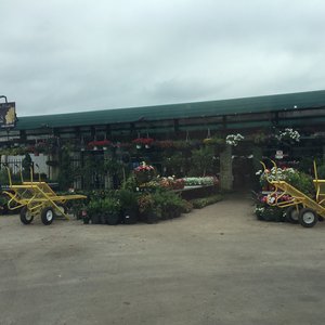 RUIBAL’S PLANTS OF TEXAS - 19 Photos & 15 Reviews - 6670 Lemmon Ave ...