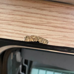 METRO APPLIANCE REPAIR - 23 Photos & 352 Reviews - 584 Castro St, San ...