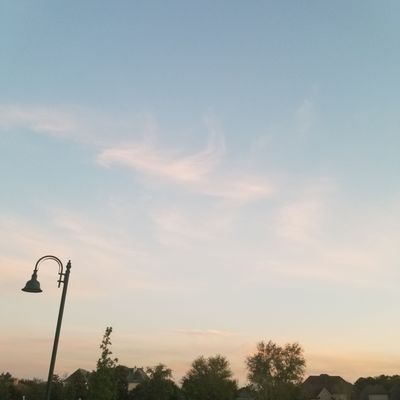 KENNER CITY PARK PAVILION - Updated May 2024 - 112 Photos & 10 Reviews ...