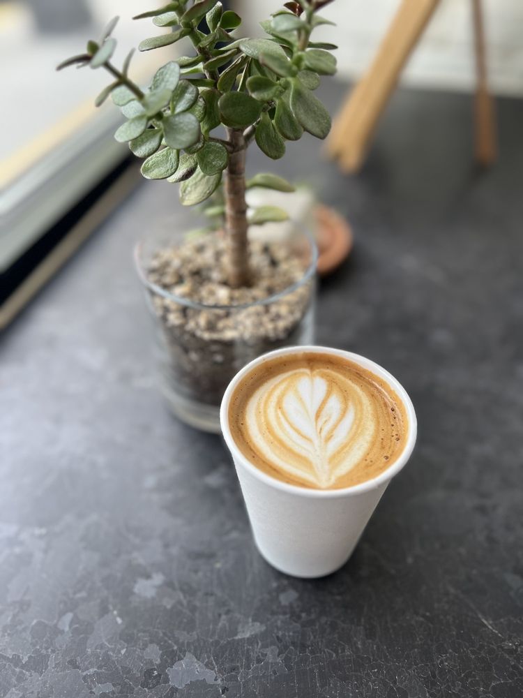 NO STRESS COFFEE - Updated January 2026 - 169 Photos & 121 Reviews - 42 ...