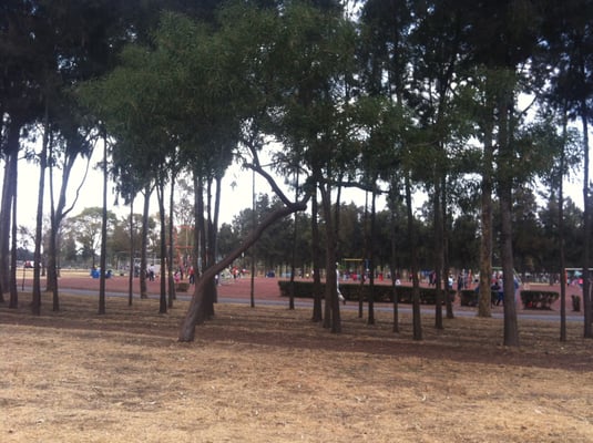 ALAMEDA ORIENTE - Updated October 2025 - Av Bordo de Xochiaca, México ...