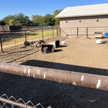 AMADIO RANCH FARM STORE - Updated June 2024 - 182 Photos & 133 Reviews ...