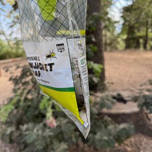 BONITA RANCH CAMPGROUND & RV SITES - Updated September 2025 - 190 ...