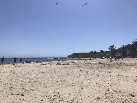 REFUGIO STATE BEACH - Updated April 2024 - 194 Photos & 112 Reviews ...