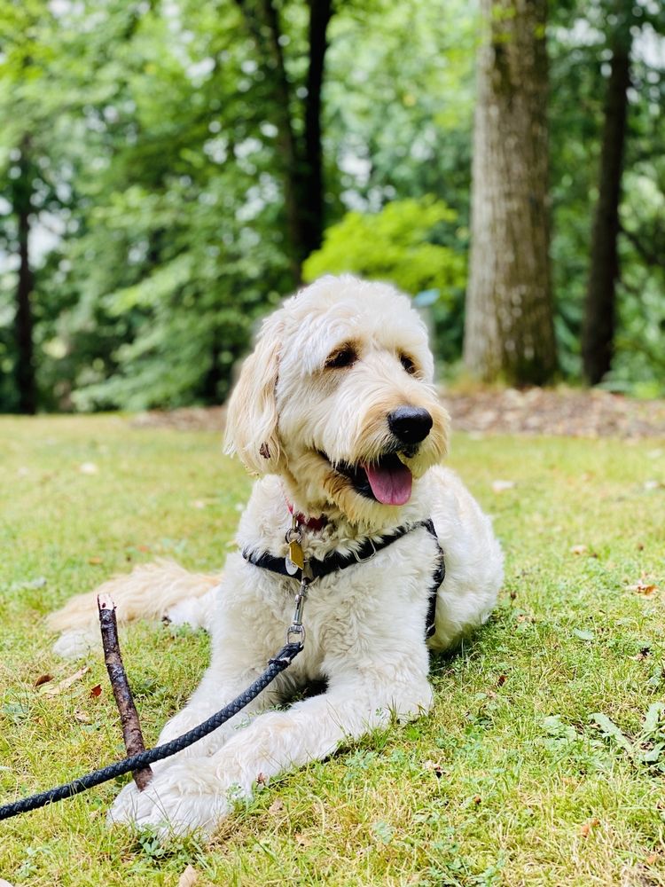 NORTH CASCADES NATIONAL PARK - 336 Photos & 52 Reviews - Hiking - 7280 ...