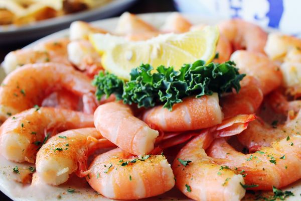 PINCHERS - Updated December 2025 - 317 Photos & 324 Reviews - 18100 San ...