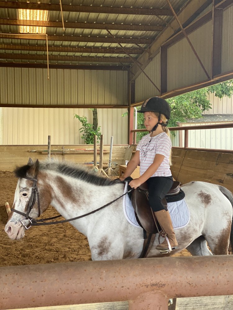 NORTH TEXAS EQUESTRIAN CENTER - Updated July 2025 - 18 Photos & 10 ...