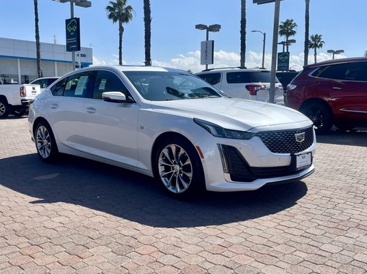 DUTTON MOTOR COMPANY - Updated January 2026 - 92 Photos & 453 Reviews ...