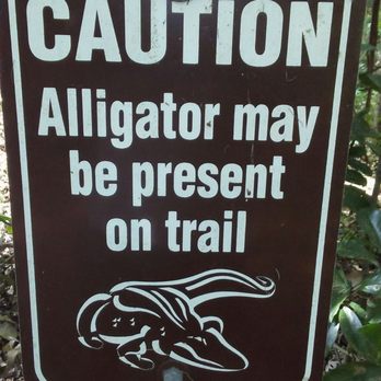 BIVENS ARM NATURE - Updated December 2025 - 44 Photos - 3650 S Main St ...