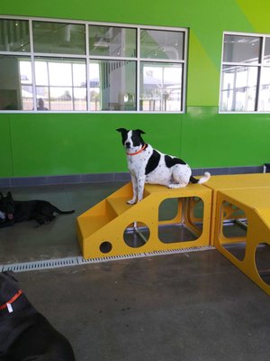 CITY BARK THORNTON - Updated October 2025 - 84 Photos & 28 Reviews ...