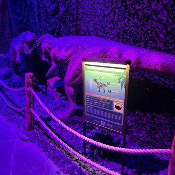 DINOS ALIVE - Updated December 2025 - 39 Photos & 13 Reviews - 31 15th ...