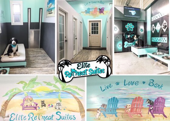 ALL TAILS R WAGGIN - Updated March 2025 - 148 Photos & 76 Reviews ...