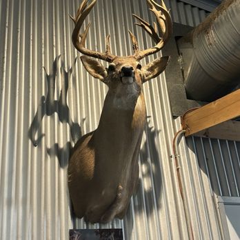 STRAIGHT OFF THE ROAD BBQ - Updated December 2025 - 49 Photos & 141 ...