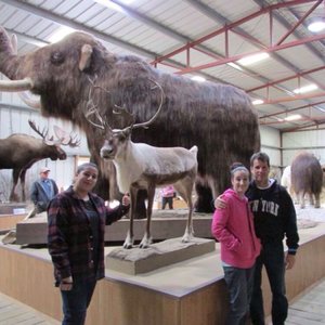 CARIBOU CROSSING TRADING POST - 198 Photos & 13 Reviews - Local Flavour ...