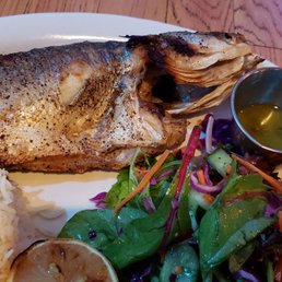 OCTOPUS KITCHEN - Updated December 2025 - 472 Photos & 289 Reviews ...