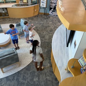 COLLIER COUNTY PUBLIC LIBRARY - Updated February 2025 - 72 Photos & 18 ...