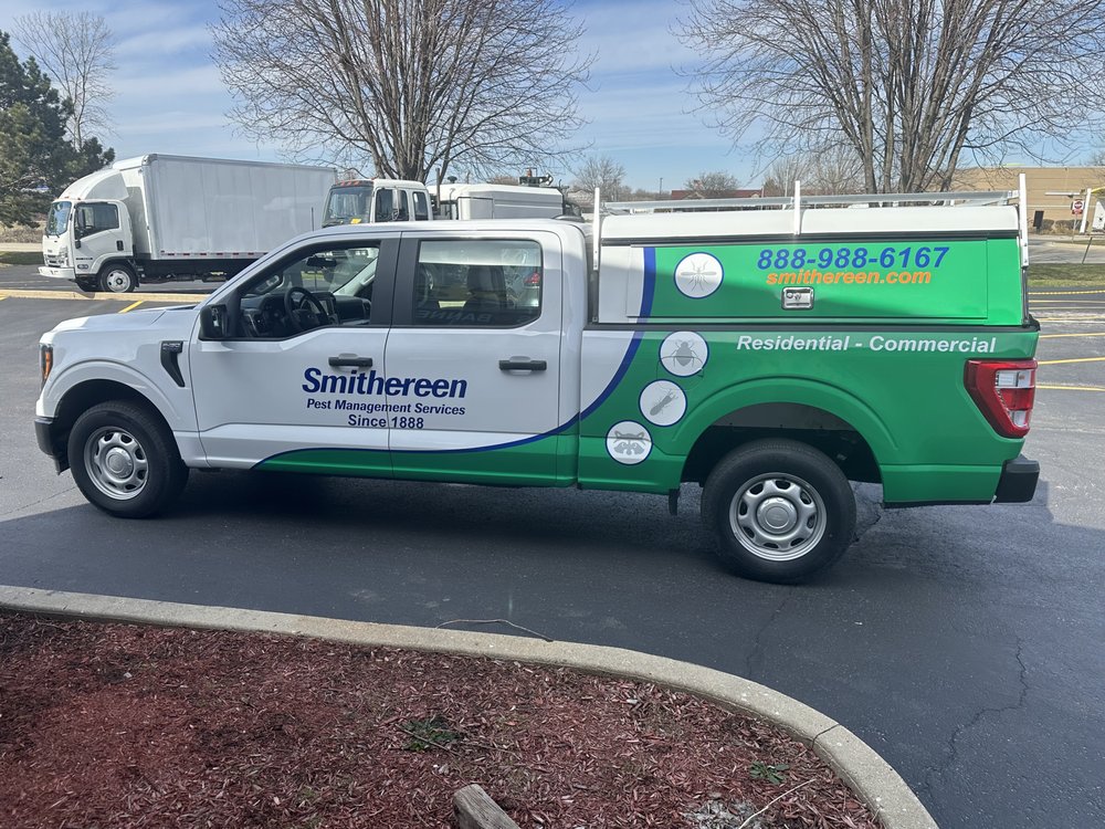 ROAD RAGE DESIGNS - Updated March 2025 - 20 Photos - 2449 Pierce Dr ...