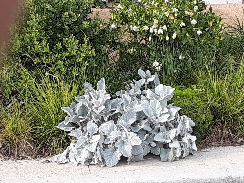 DM LANDSCAPE AND OUTDOOR LIGHTING - Updated November 2025 - 32 Photos ...