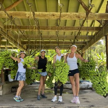 ONO ORGANIC FARMS - Updated May 2025 - 98 Photos & 51 Reviews - 149 ...