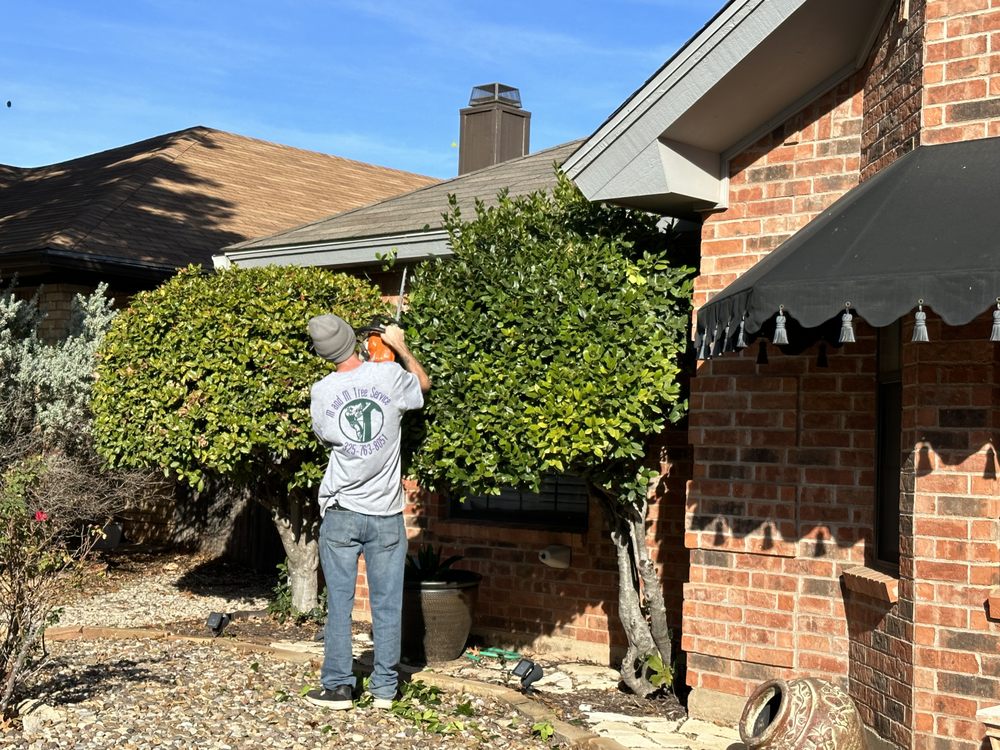 M AND M TREE SERVICE - Updated June 2025 - 17 Photos - 3006 Bluebonnet ...