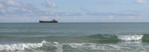 FIRST STATE BANK - Updated December 2025 - 200 N Brazosport Blvd, Clute ...