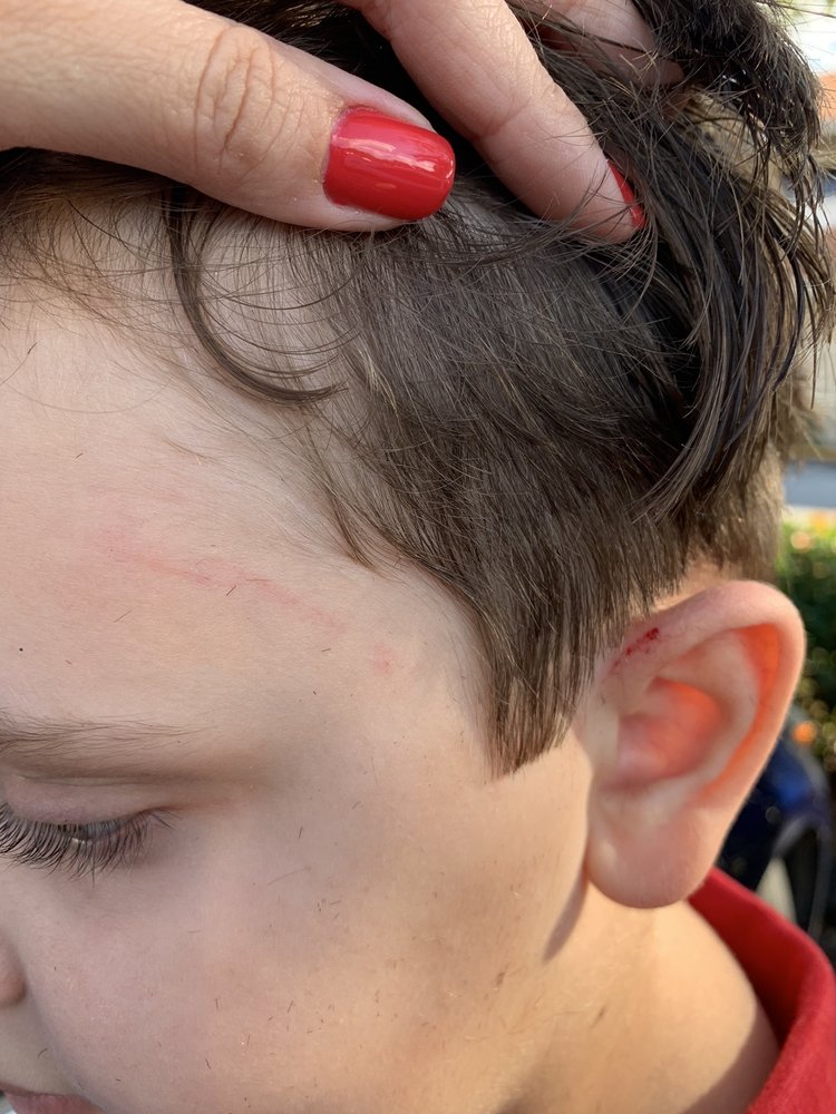 KOOL CUTS - Updated October 2025 - 10 Reviews - 23086 Sandalfoot Plaza ...