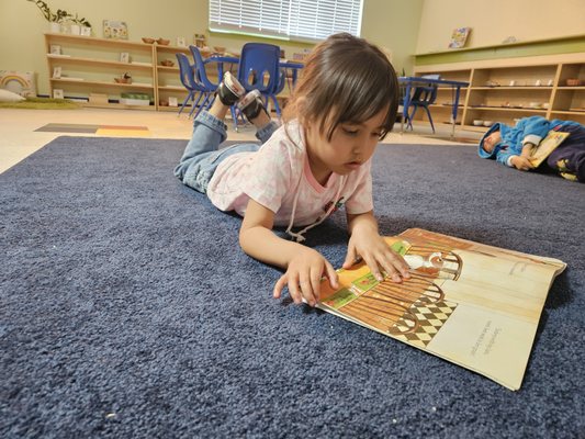 LEARN AND PLAY MONTESSORI SCHOOL - Updated May 2026 - 130 Photos - 1702 ...