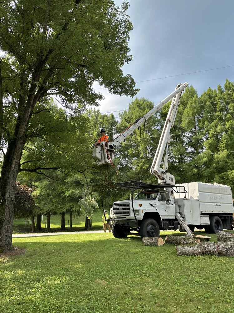 BAKER TREE SERVICE - Updated June 2025 - Connersville, Indiana - Tree ...