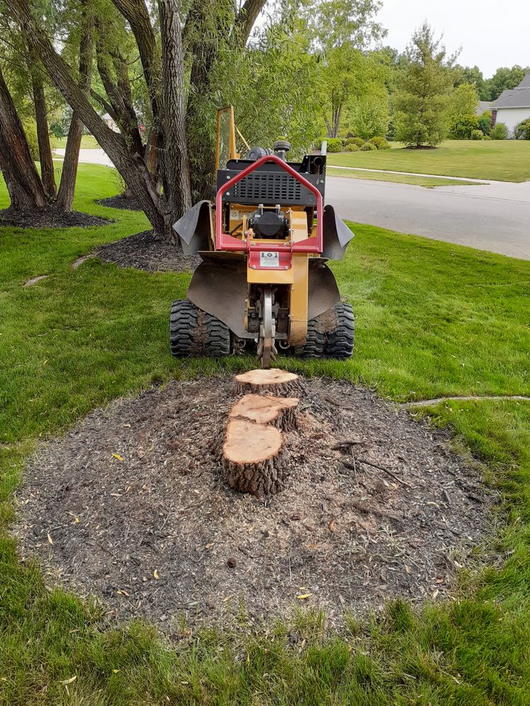 TOTAL STUMP GRINDING - Updated November 2025 - Request a Quote - 11 Photos - Fort Wayne, Indiana ...