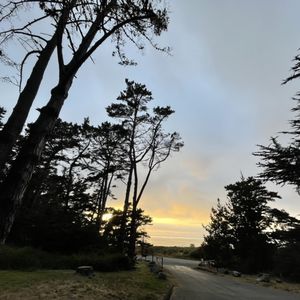 PLASKETT CREEK CAMPGROUND - 112 Photos & 86 Reviews - 69345 Ca 1, Big ...