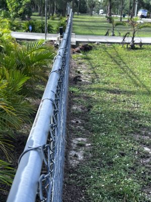 COLLIER COUNTY DOMESTIC ANIMAL SERVICES - Updated October 2025 - 19 ...