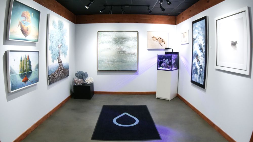 4 ELEMENTS - Updated June 2025 - 46 Photos - 491 E Main St, Blue Ridge ...