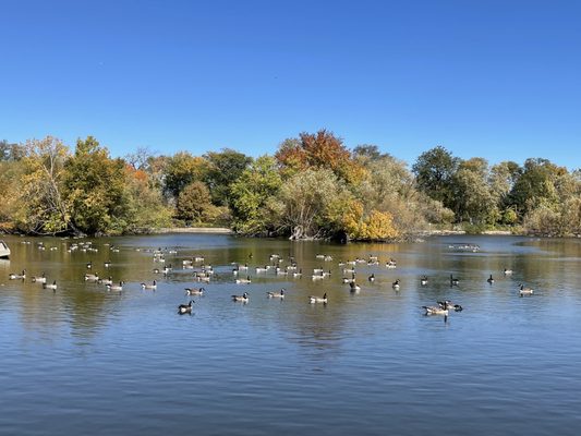 MCKINLEY PARK - Updated December 2025 - 92 Photos & 12 Reviews - 2210 W ...