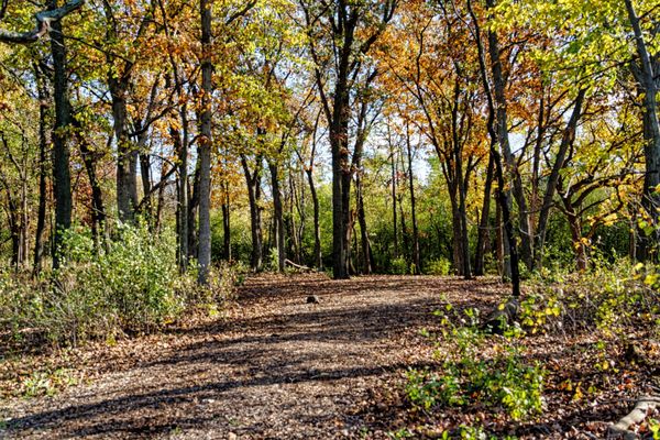 BEVIER PARK - Updated October 2025 - 60 Photos - 2255 Wt Yorkhouse Rd ...